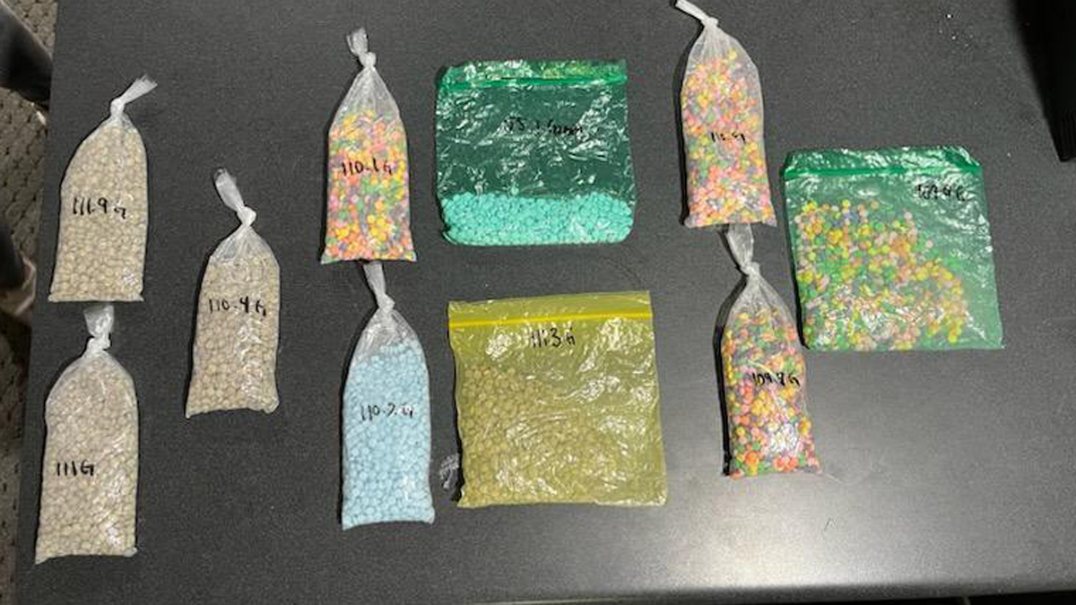 Two brothers arrested in 10,000-pill fentanyl trafficking bust in Miami ...