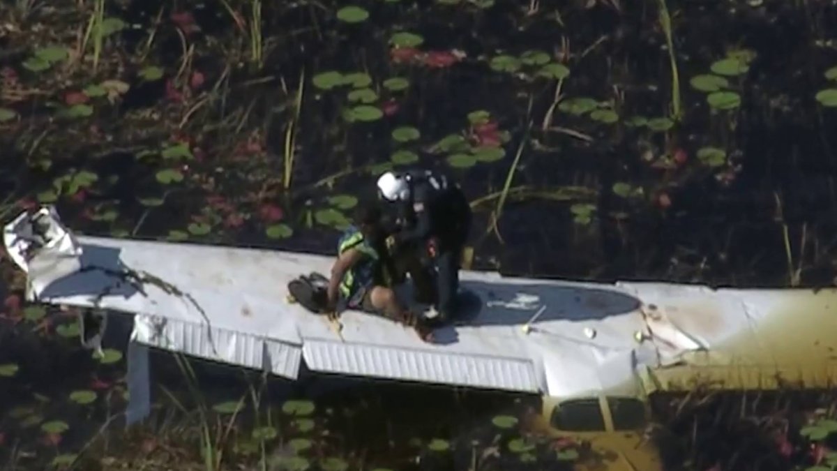 Man rescued after small plane crash in Florida Everglades – NBC 6 South ...