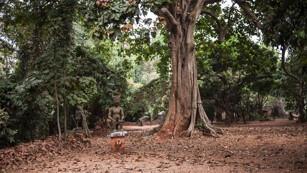 Benin’s Voodoo forests are shrinking due to economic development ...