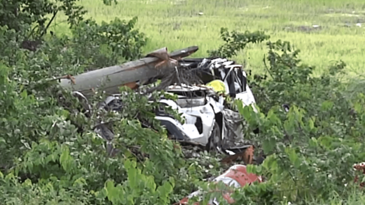 Palm tree crushes car in deadly Oakland Park crash – NBC 6 South Florida