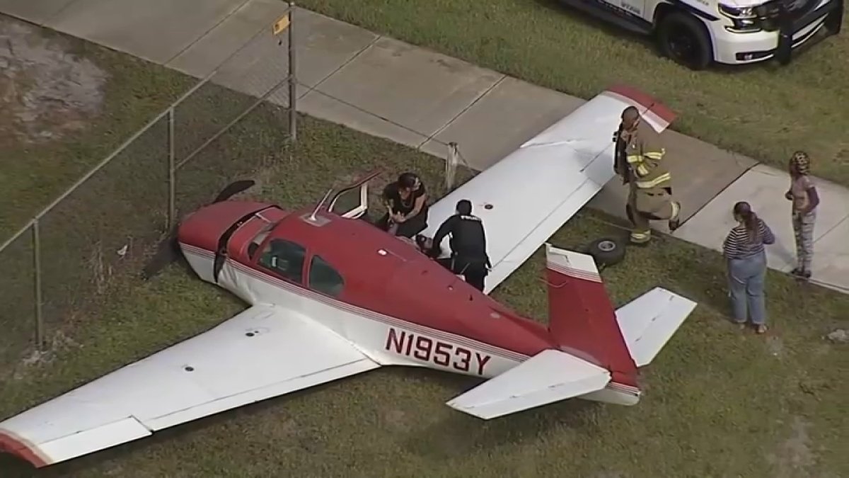 Witnesses run to help injured pilot after small plane crashes in ...