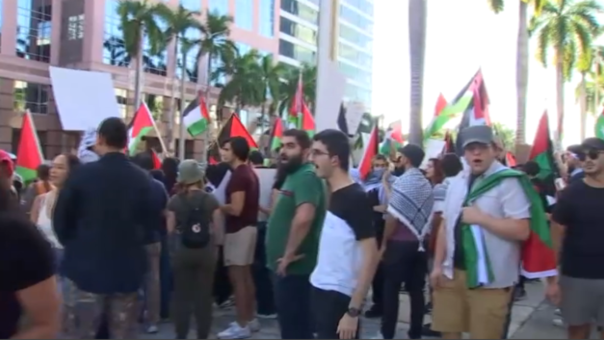 Protesters gather in Fort Lauderdale for Pro-Palestinian rally – NBC 6 ...