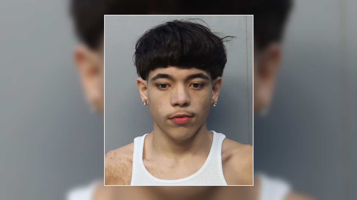 Miami-Dade high schooler robbed buyer at gunpoint during firearm sale ...