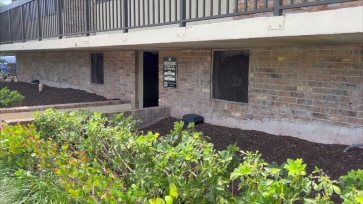 Florida attorney accused of killing his father found dead in Palm Beach ...