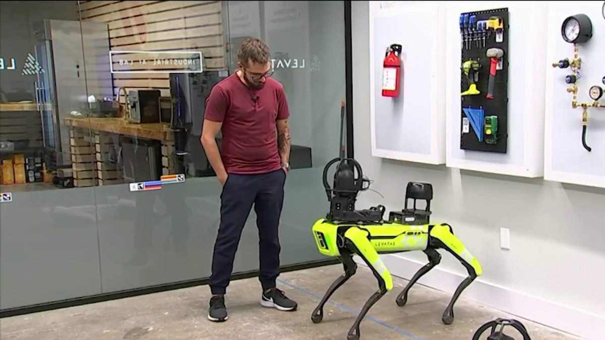 Robotic dog enhanced with cognitive intelligence to accomplish key ...
