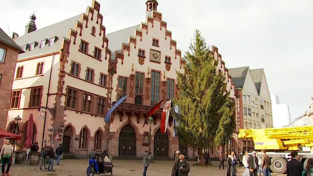 Dolphins in Germany: The history of Frankfurt – NBC 6 South Florida