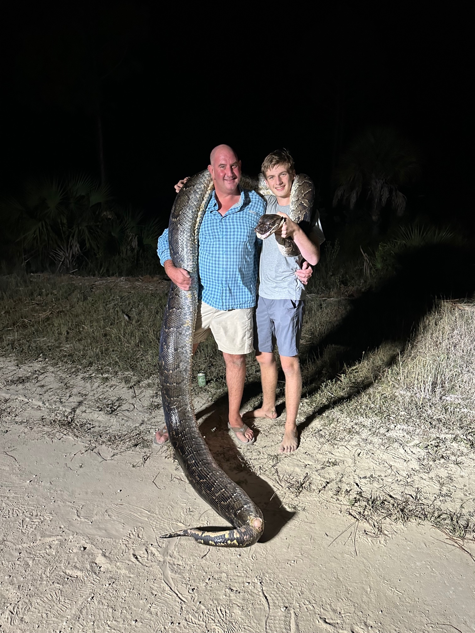 Images: 198-pound Burmese python captured in Collier County – NBC 6 ...