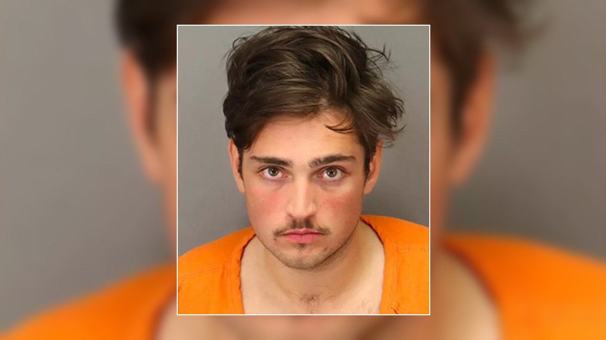 Drunk man ‘molested’ manatee statue, threw gator nuggets: Sheriff – NBC ...