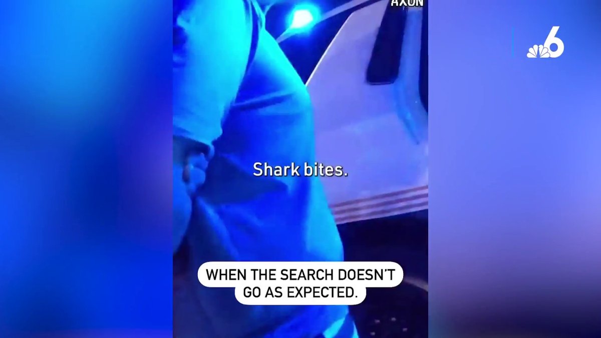 Deputies arrest man suspected of ‘molesting’ a manatee statue, throwing ... Deputies arrest man suspected of ‘molesting’ a manatee statue, throwing ...