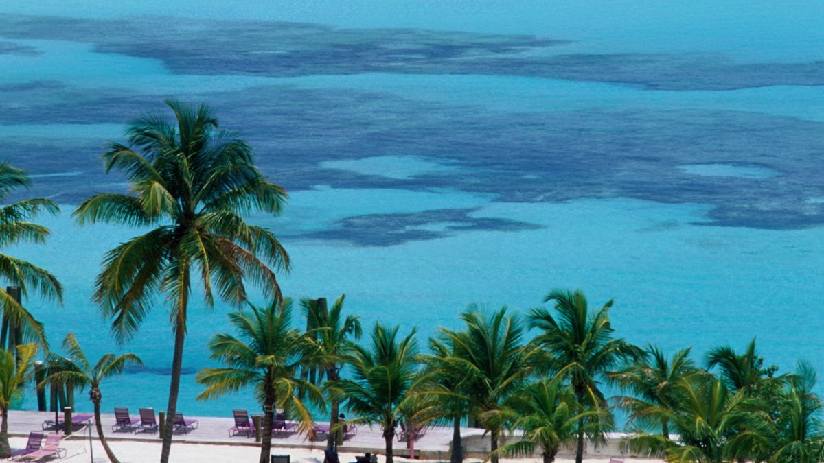 US updates Bahamas travel advisory over crime, beach safety, guns – NBC ...