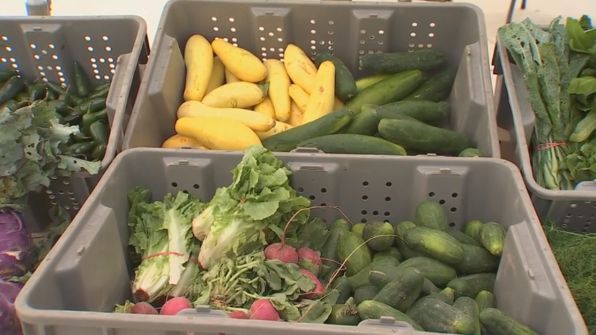 How to get more food using your food stamps – NBC 6 South Florida