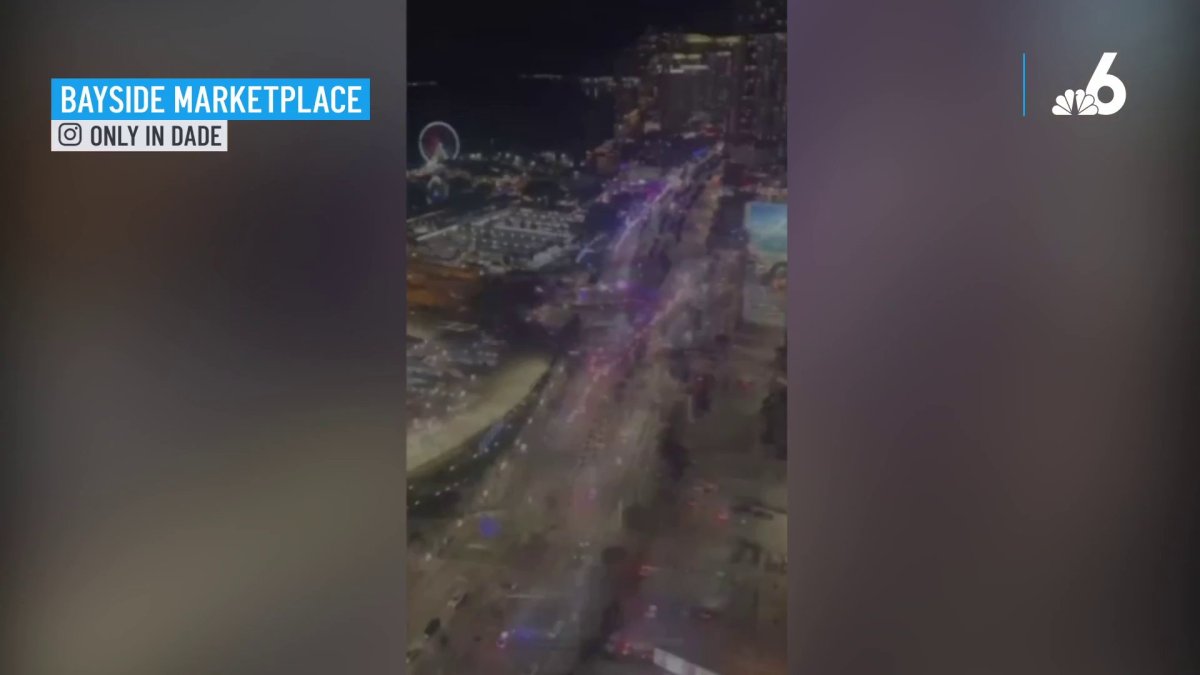 New Only in Dade videos show fight break out, large police presence in ...