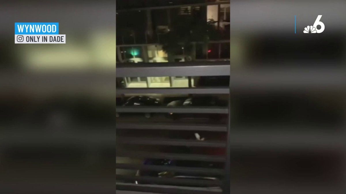 Shocking video shows suspects firing shots outside luxury Wynwood ...