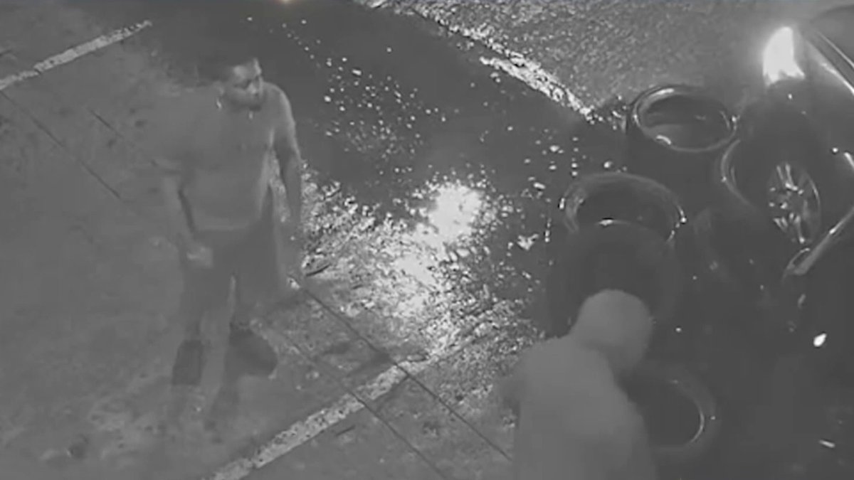 Pair Sought In West Park Fatal Shooting Seen In Video Beating Victim