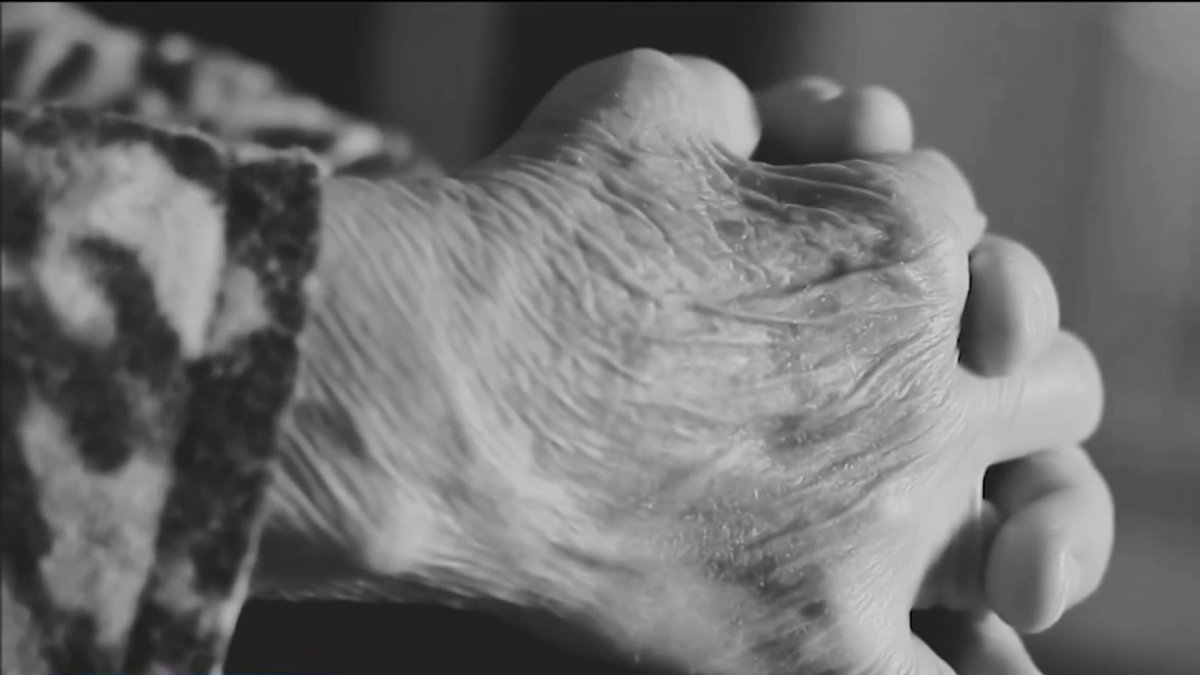 Multi-billion dollar genetic testing fraud scheme rips off Medicare ...