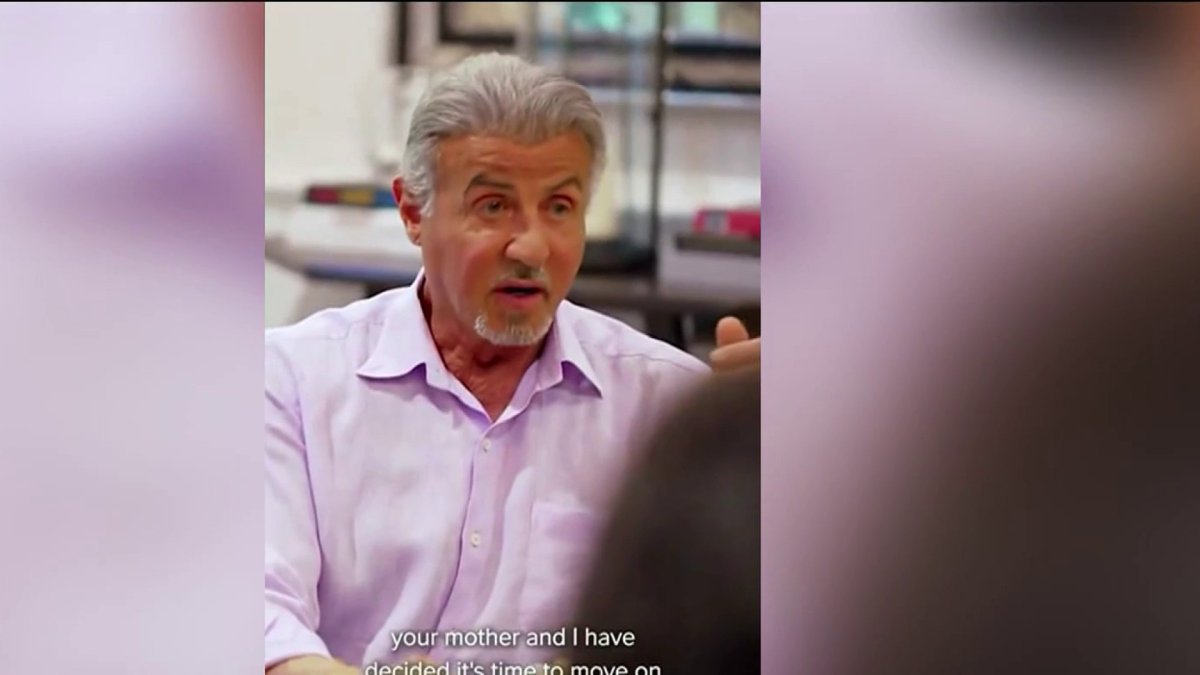 Sylvester Stallone is moving to South Florida – NBC 6 South Florida