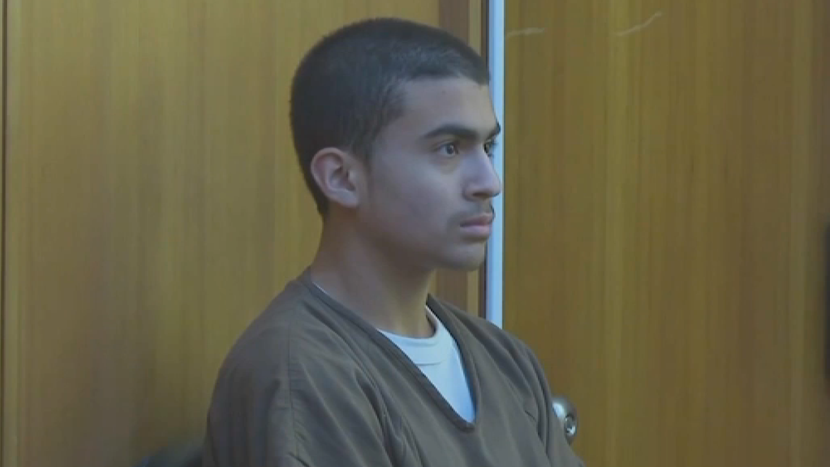 Derek Rosa: Hialeah teen who confessed to stabbing mother to death in ...