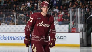 Arizona Coyotes waive Adam Ruzicka after social media video surfaces ...