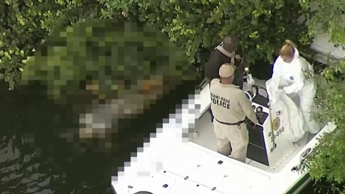 Decomposing body pulled out of Miami Springs canal – NBC 6 South Florida