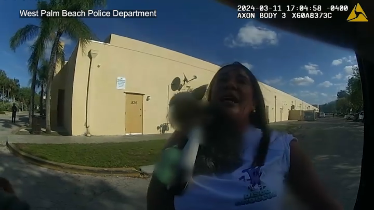 Gruesome video captures moments after woman was mauled by a pit bull in ...