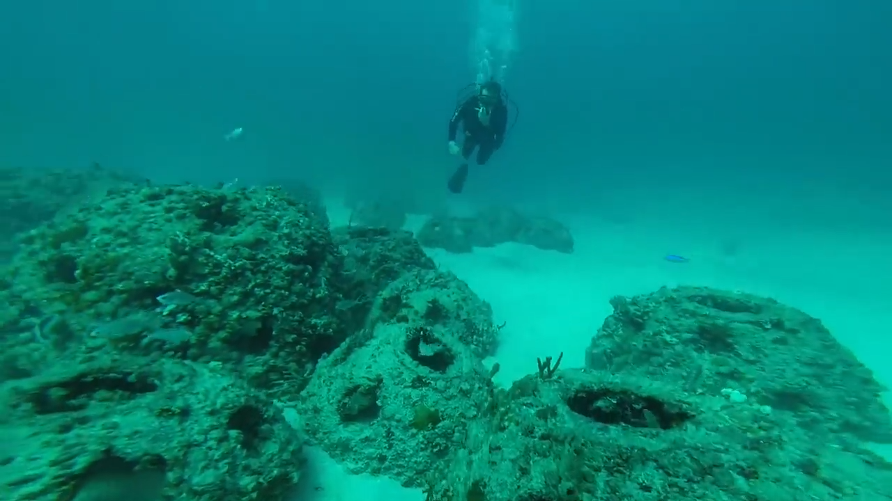 Florida charity offers coral reef memorials rather than funerals – NBC ...
