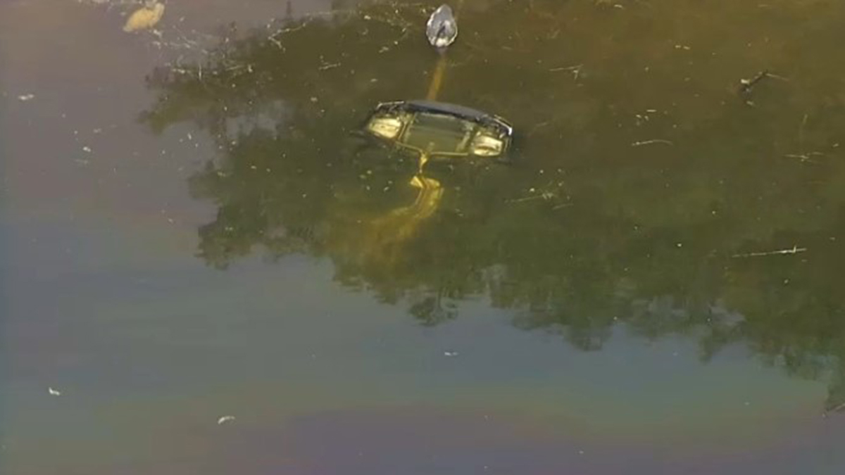 Man found dead in car after crashing into Parkland canal identified ...