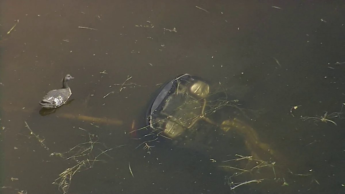 Body found inside submerged car in Parkland canal – NBC 6 South Florida