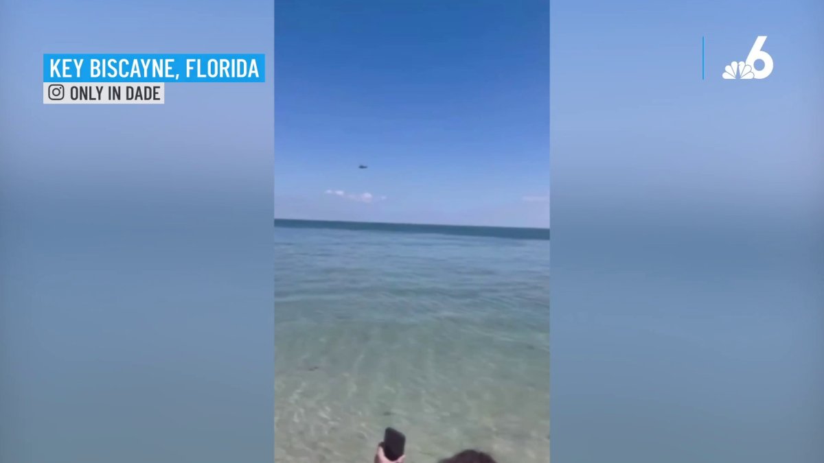 1 Injured After Helicopter Crashes In Key Biscayne Nbc 6 South Florida
