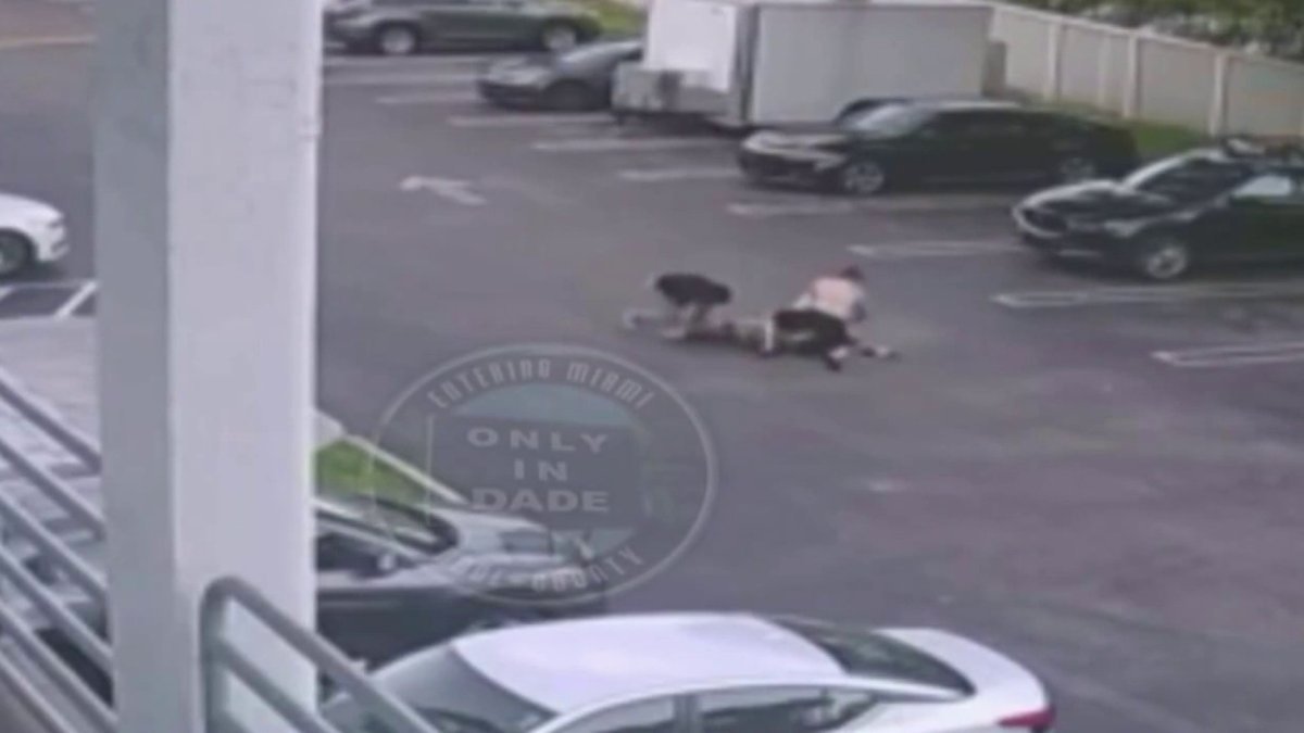 Video shows man trying to steal Pokemon cards worth $30K – NBC 6 South ...