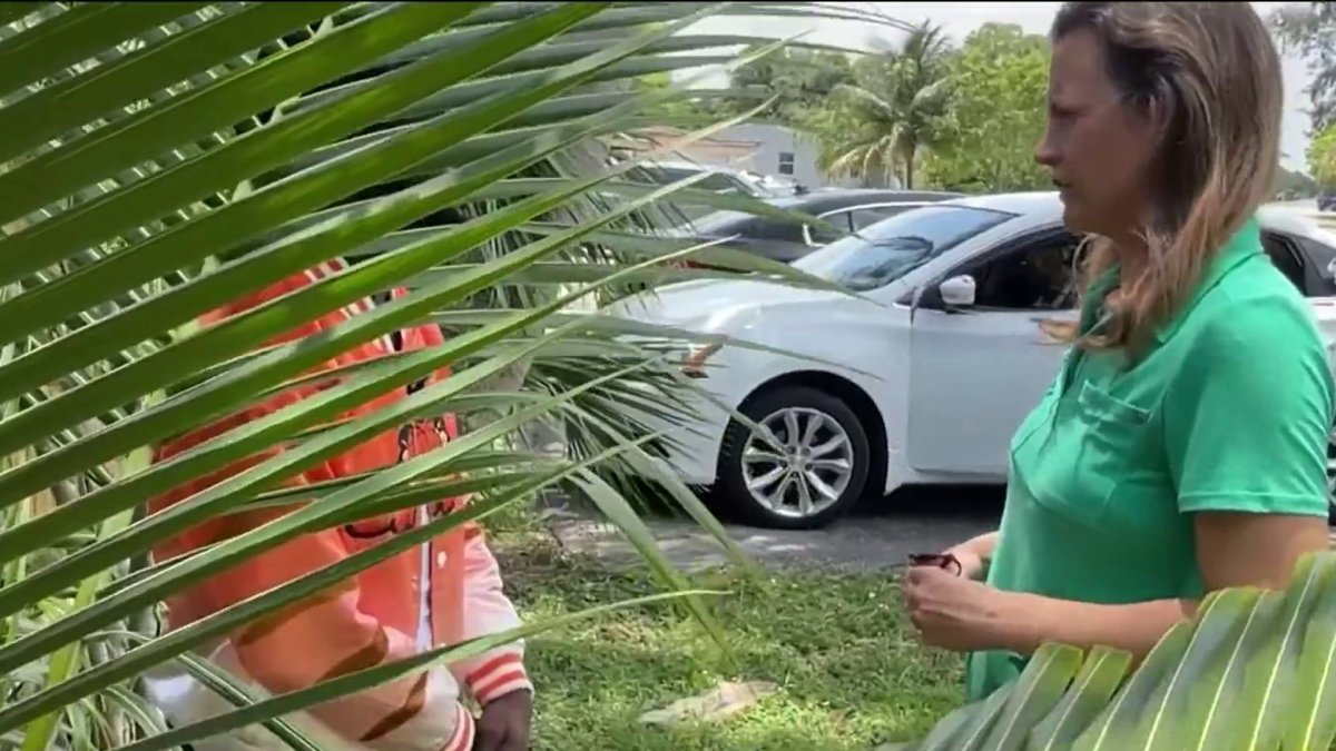 Victim in violent Hallandale Beach carjacking that led to pursuit and ...