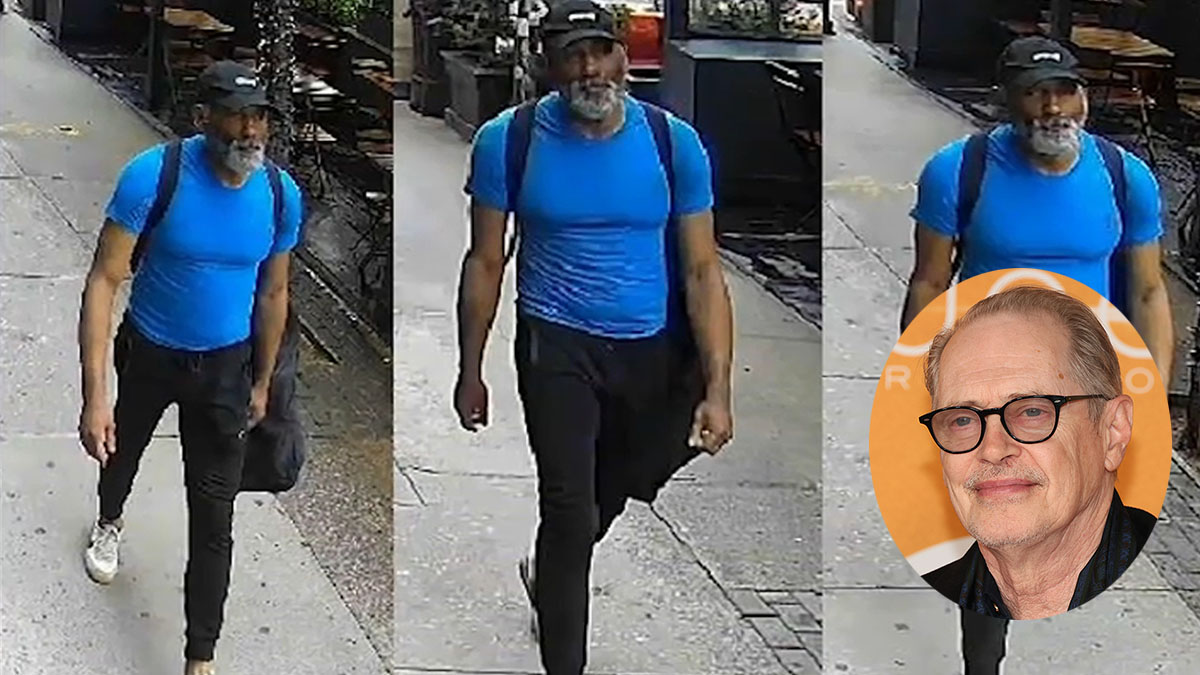 Steve Buscemi NYC attack: Suspect arrested – NBC 6 South Florida