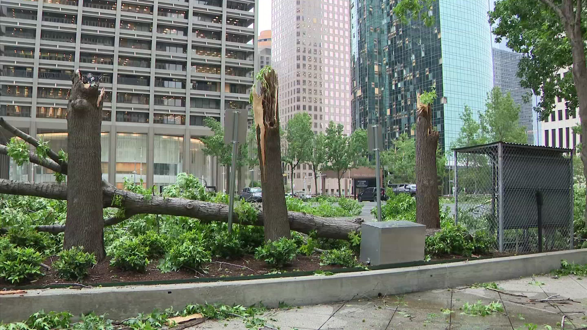 Houston storms kill 4 people, cause power outages – NBC 6 South Florida