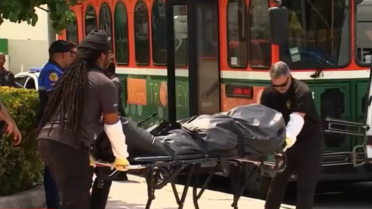 Passenger struck and killed by Miami trolley, possibly while removing ...