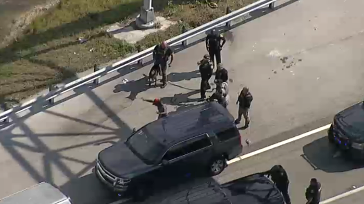 Suspect in custody after police chase ends in crash in Miramar – NBC 6 South Florida