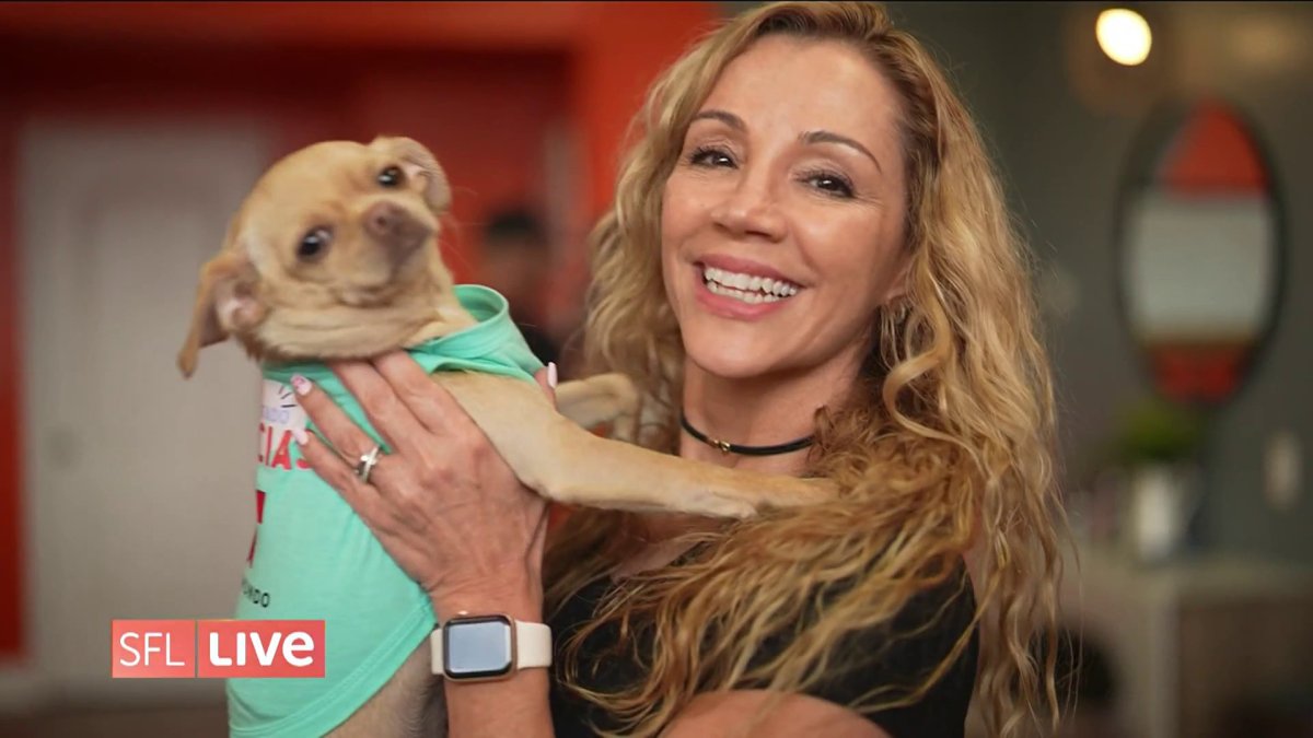 ‘Pawsitively’ finding the good in your dog – NBC 6 South Florida