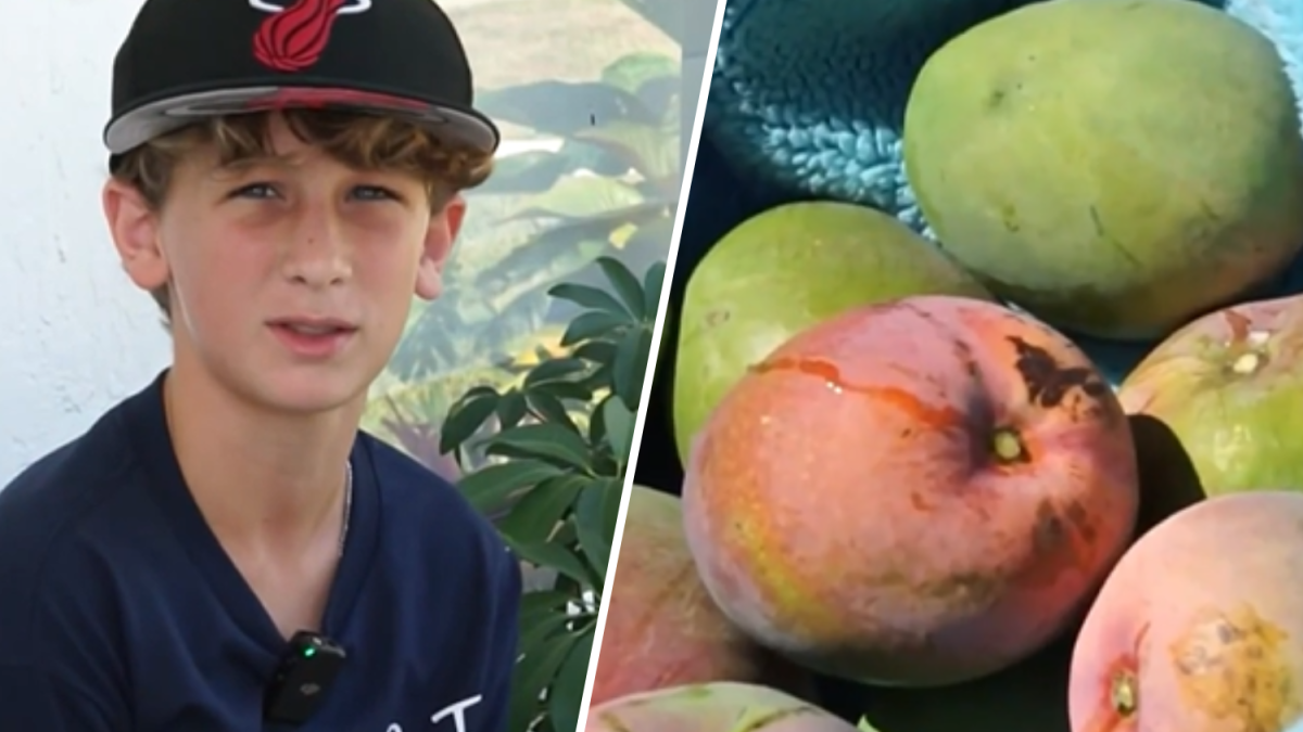 Mango Money: How a South Florida 12-year-old is spending his summer ...