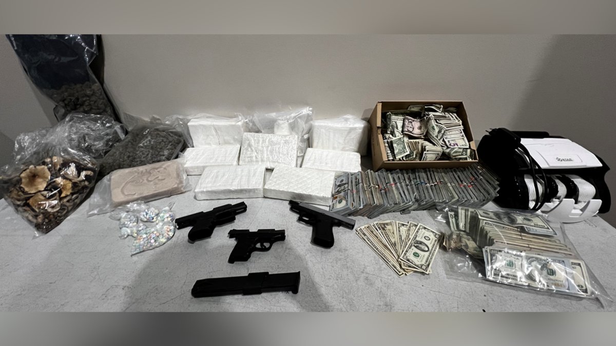 4 charged in ‘sophisticated’ drug ring after USF student dies of ...