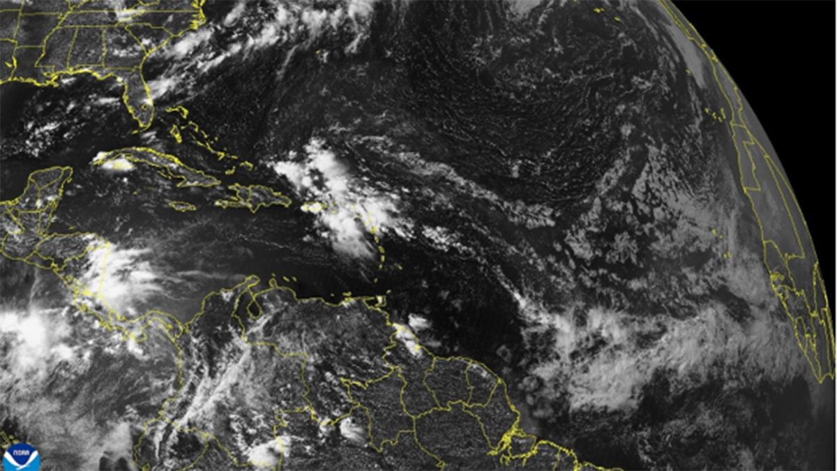 Signs of life in the tropics as depression could form near Florida ...