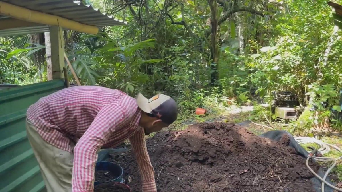 Composting is key to sustainability in this Costa Rican village – NBC 6 ...
