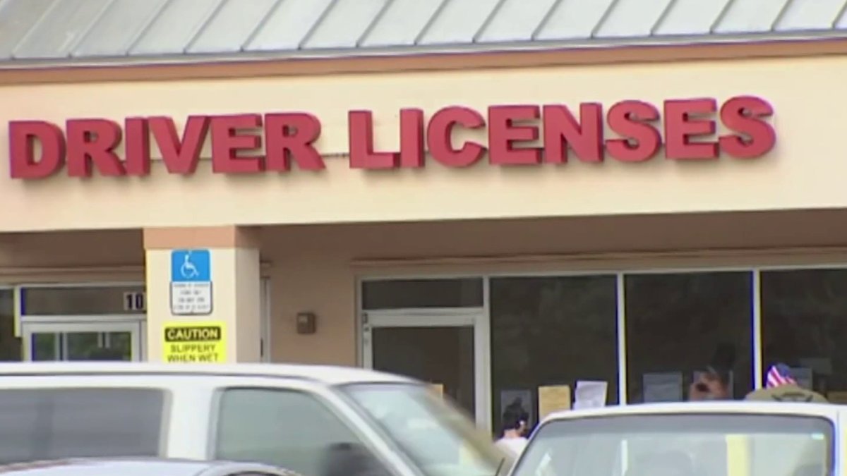What to expect from Florida’s driver’s licenses changes – NBC 6 South ...