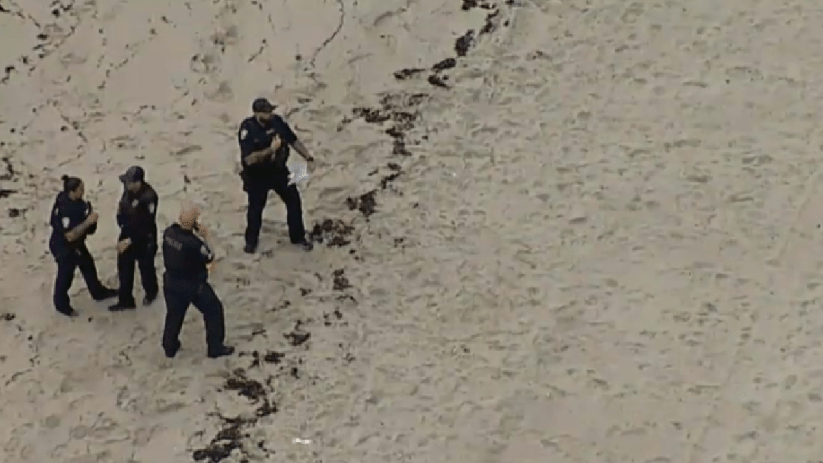 Police investigate body found on Hollywood Beach – NBC 6 South Florida
