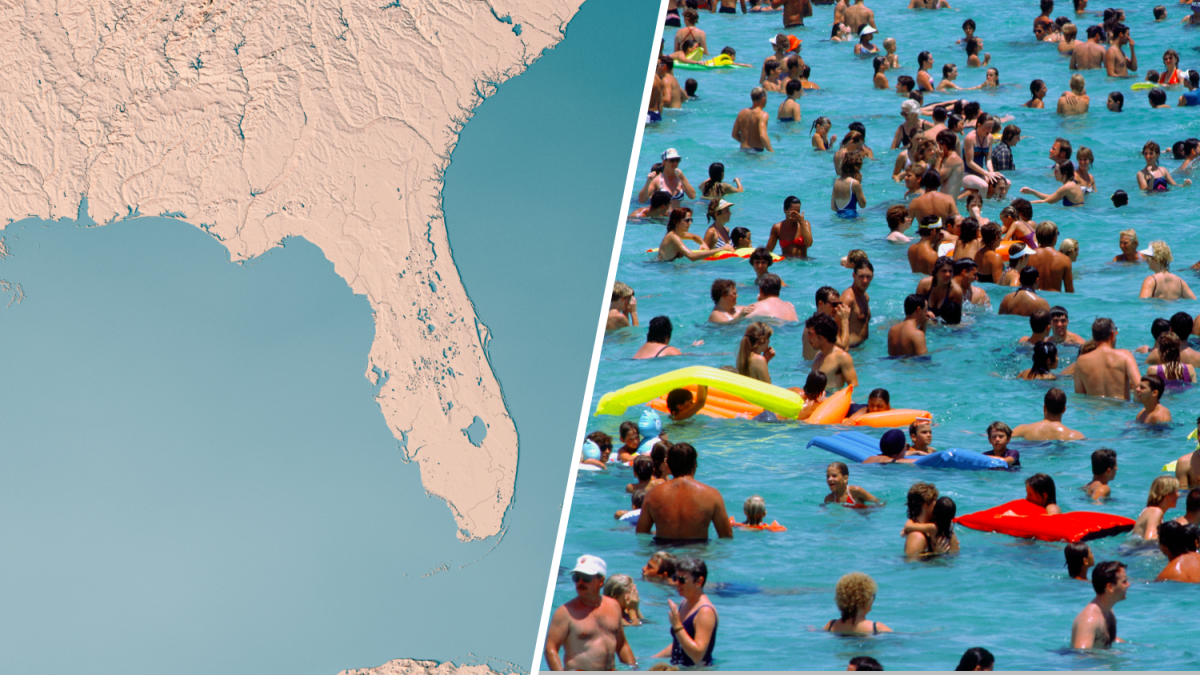 Florida population record in 2024: Report – NBC 6 South Florida
