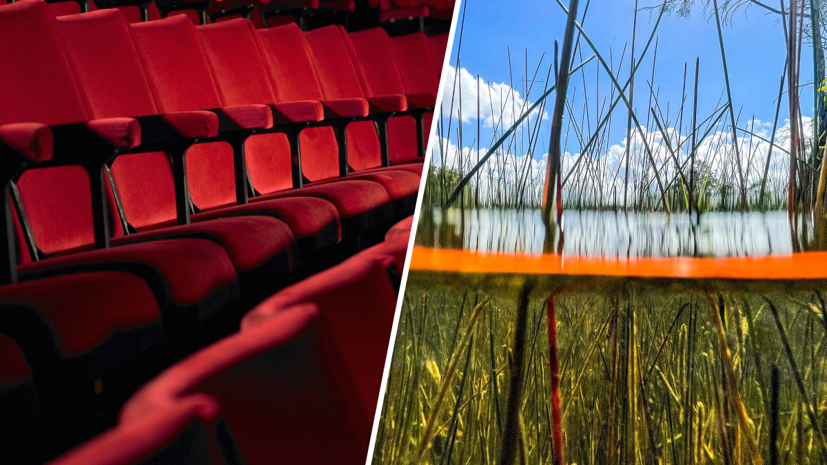 Here are the winners and losers in DeSantis’ new state budget – NBC 6 ...