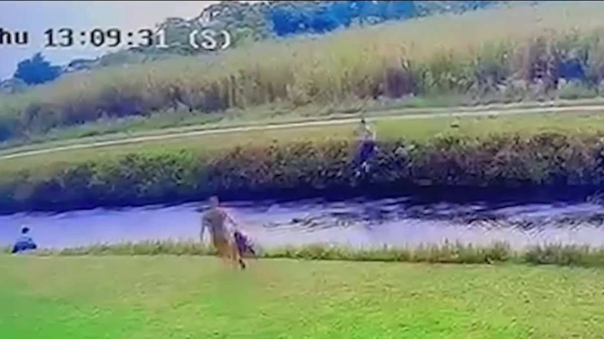 Video: Divers pull woman from canal after fatal ATV crash – NBC 6 South ...