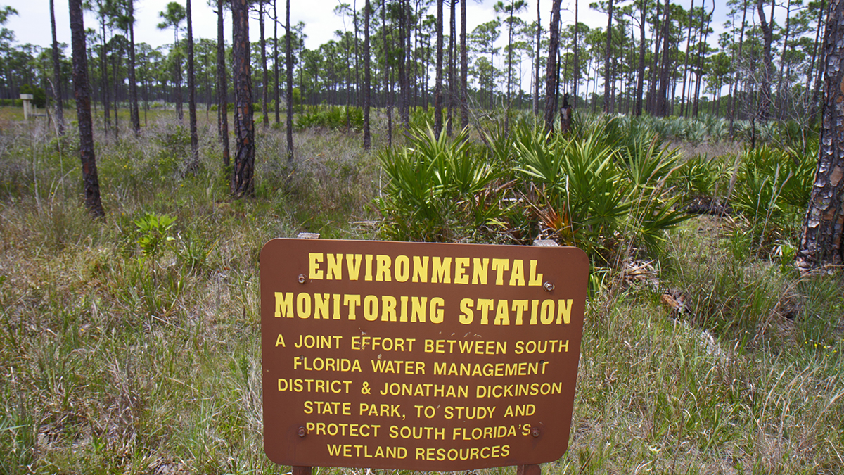 State offers more details on plan to revamp parks including in South ...