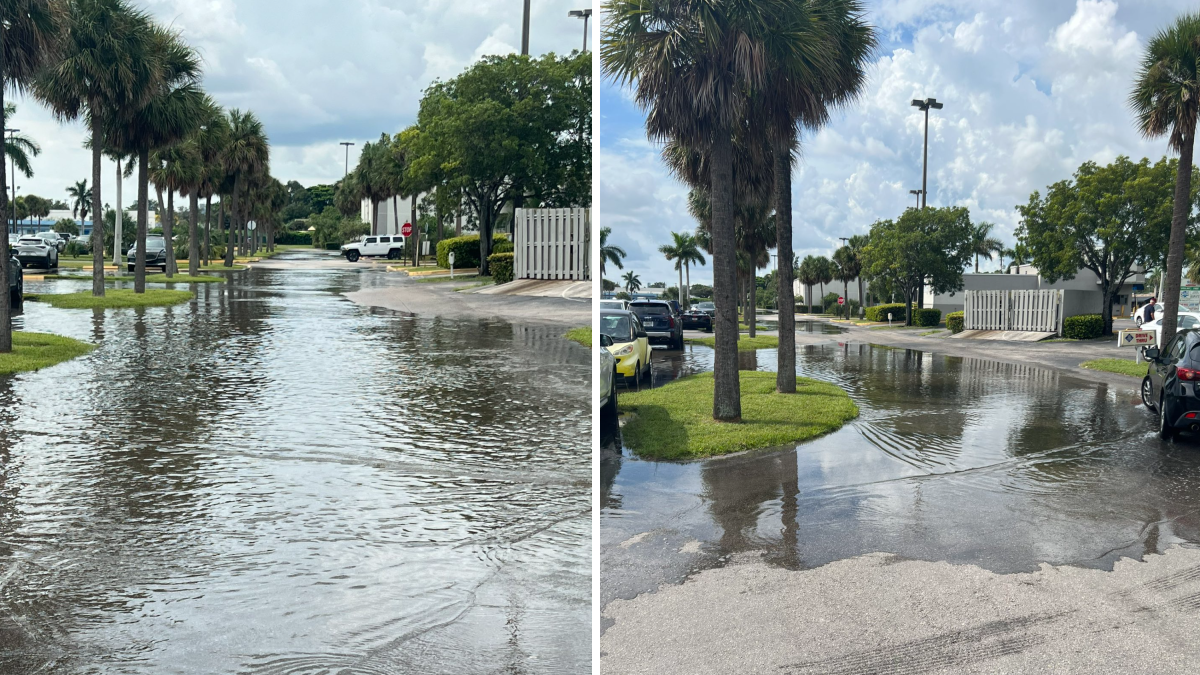 What is sunny day flooding? – NBC 6 South Florida
