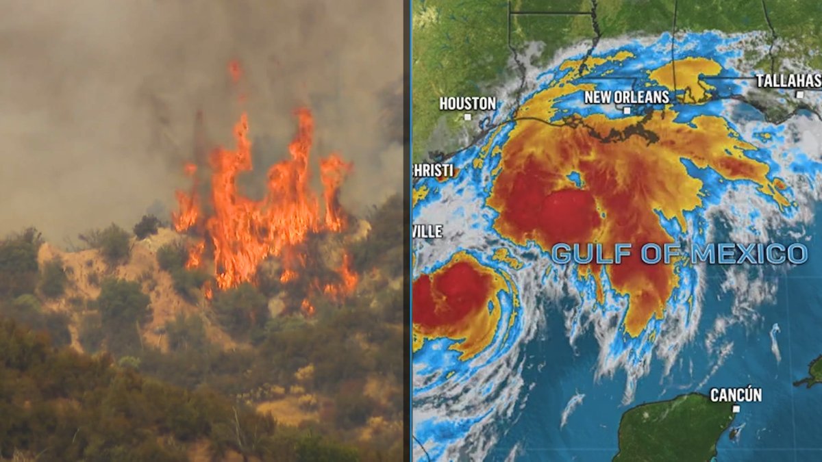 ‘Atmospheric thirst’ amplifying both Hurricane Francine and wildfires ...