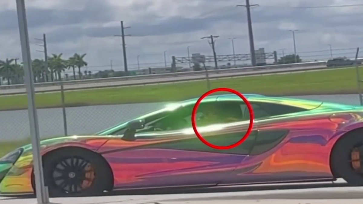 Cuban singer Ovi arrested after video shows him pointing gun at driver ...