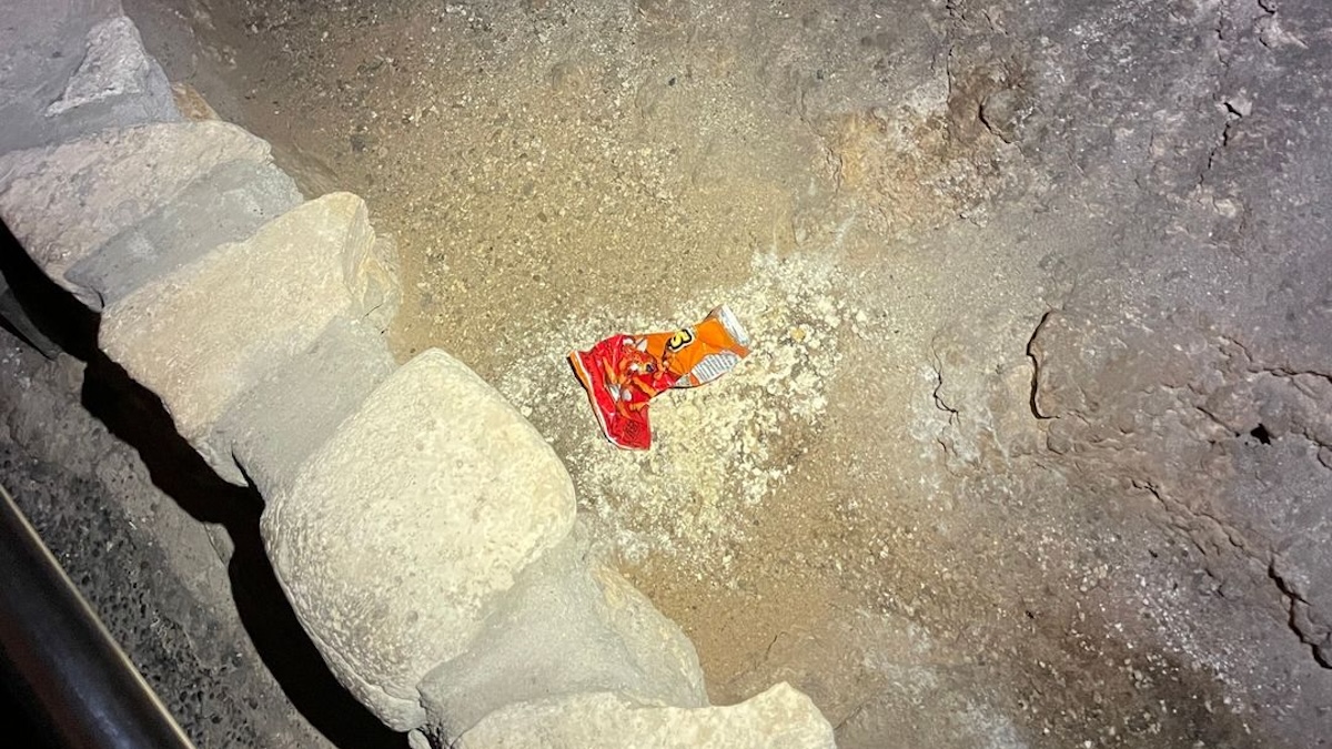 Bag of Cheetos disrupts ecosystem at Carlsbad Caverns National Park ...