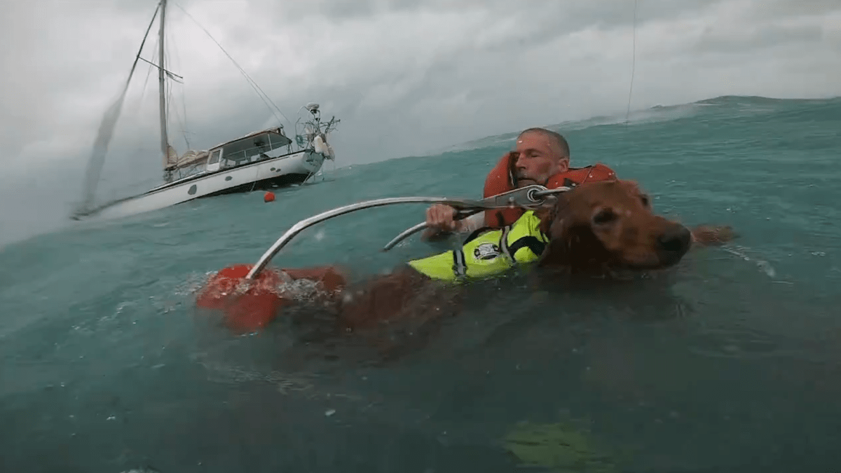 WATCH: Coast Guard rescues man and dog after boat fails during ...